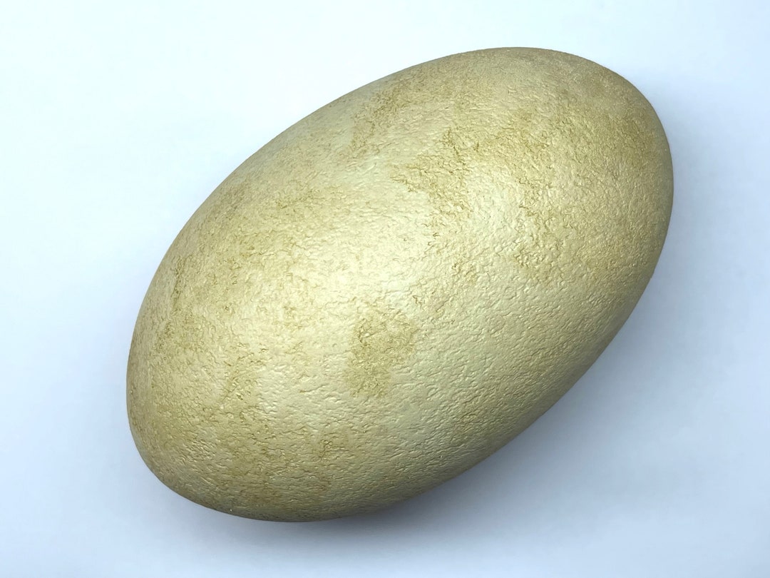 Tundra Swan Replica Bird Egg - Etsy