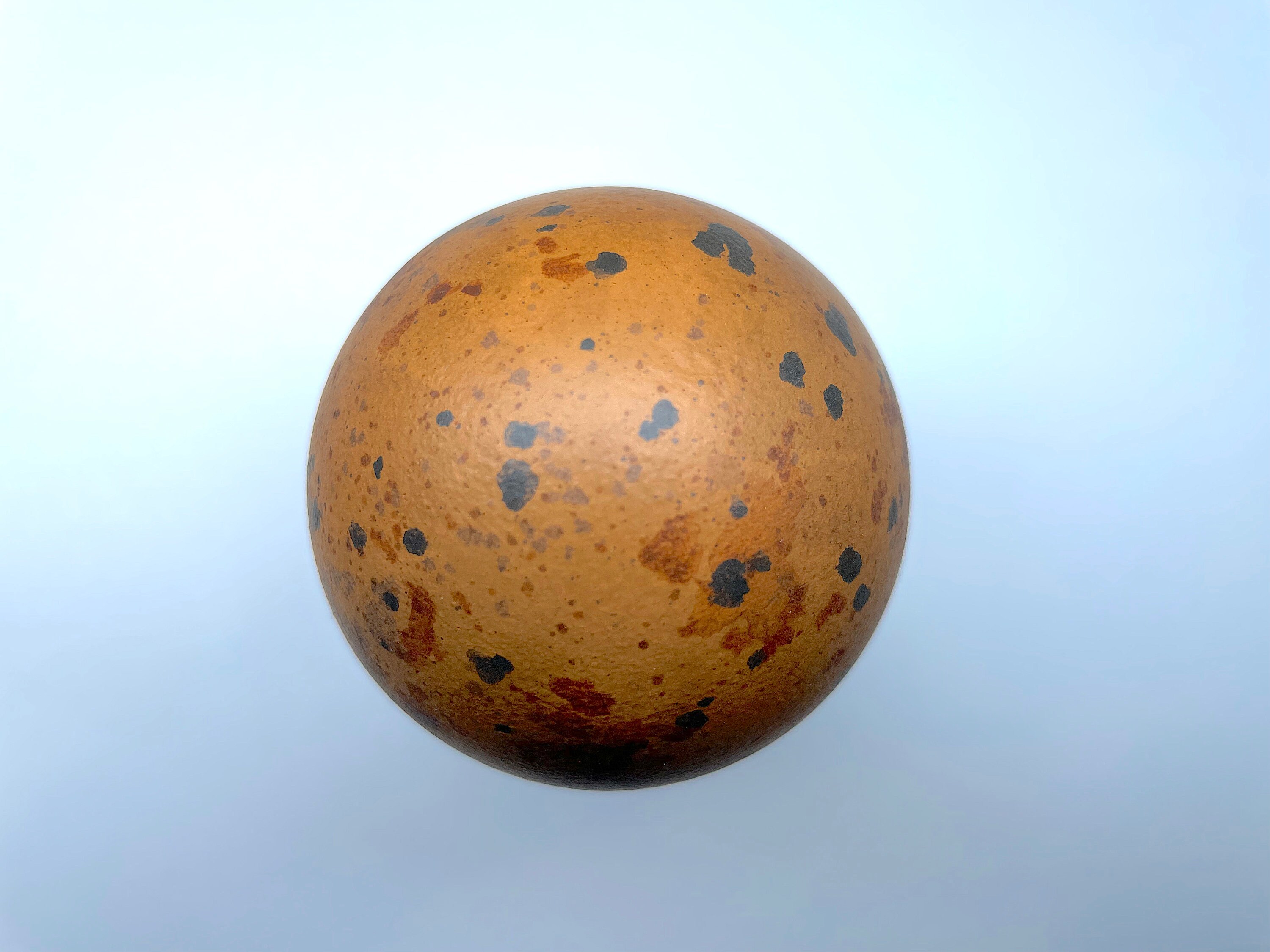 Common Loon Replica Bird Egg - Etsy