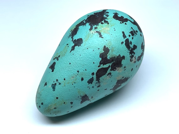 Common Murre 7 guillemot Replica Bird Egg - Etsy