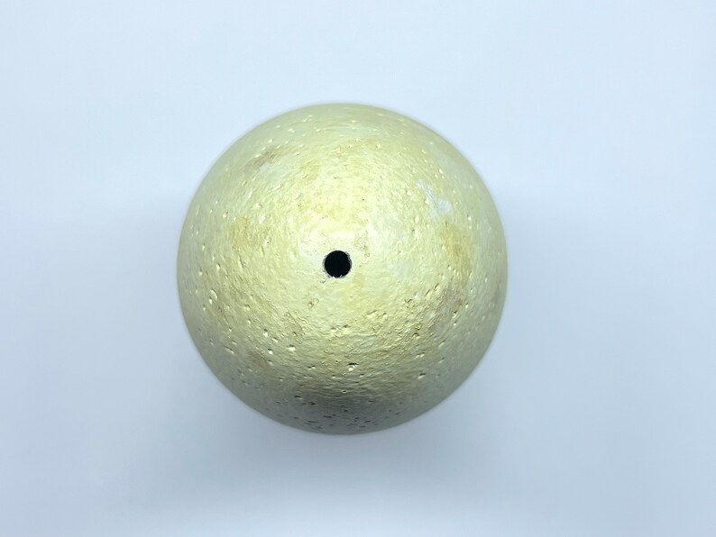 Troodon Formosus Replica Dinosaur Egg - Etsy