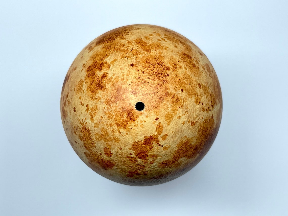 Lammergeier (bearded Vulture) Replica Bird Egg - Etsy
