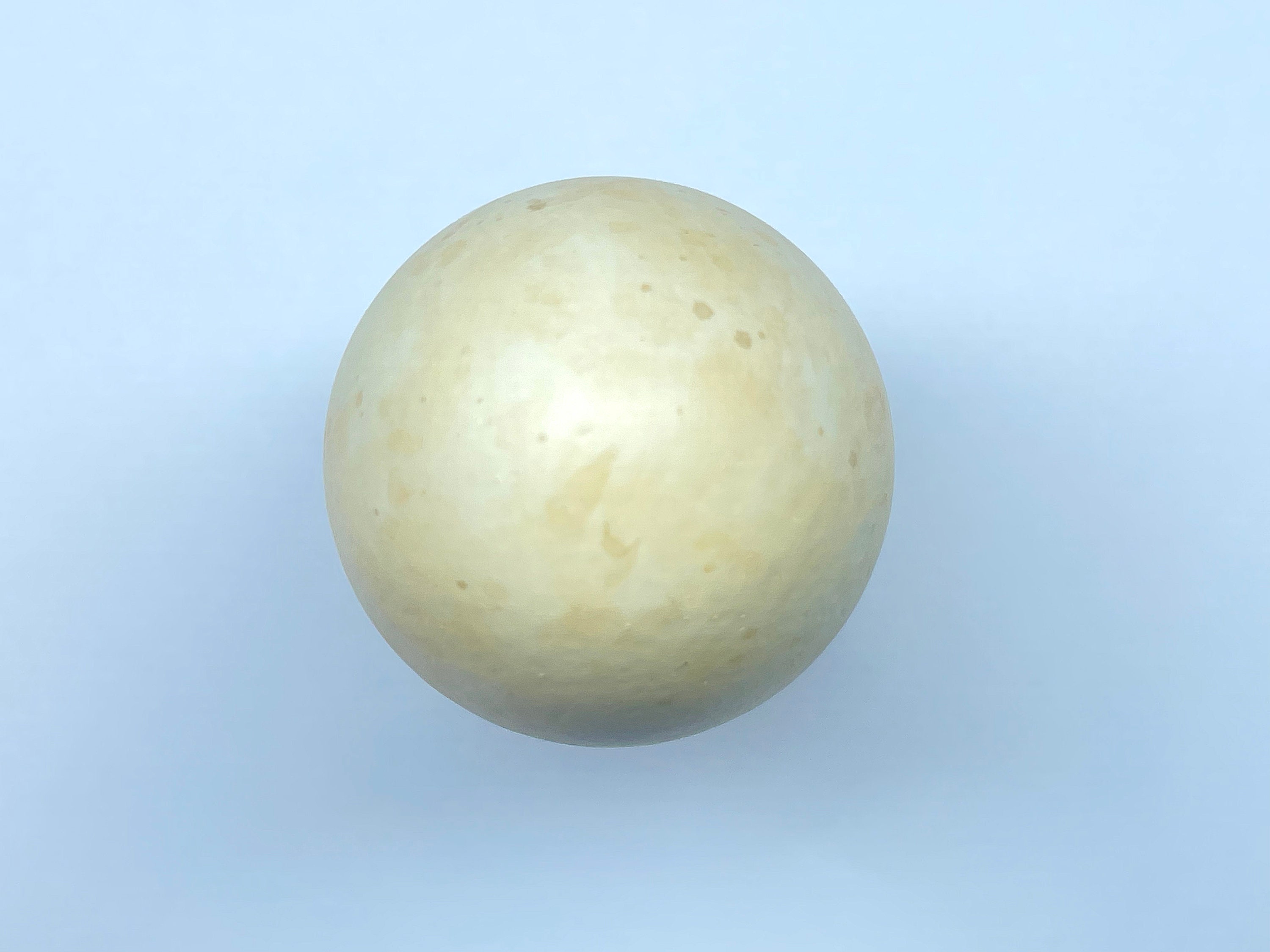 Dovekie Replica Bird Egg - Etsy