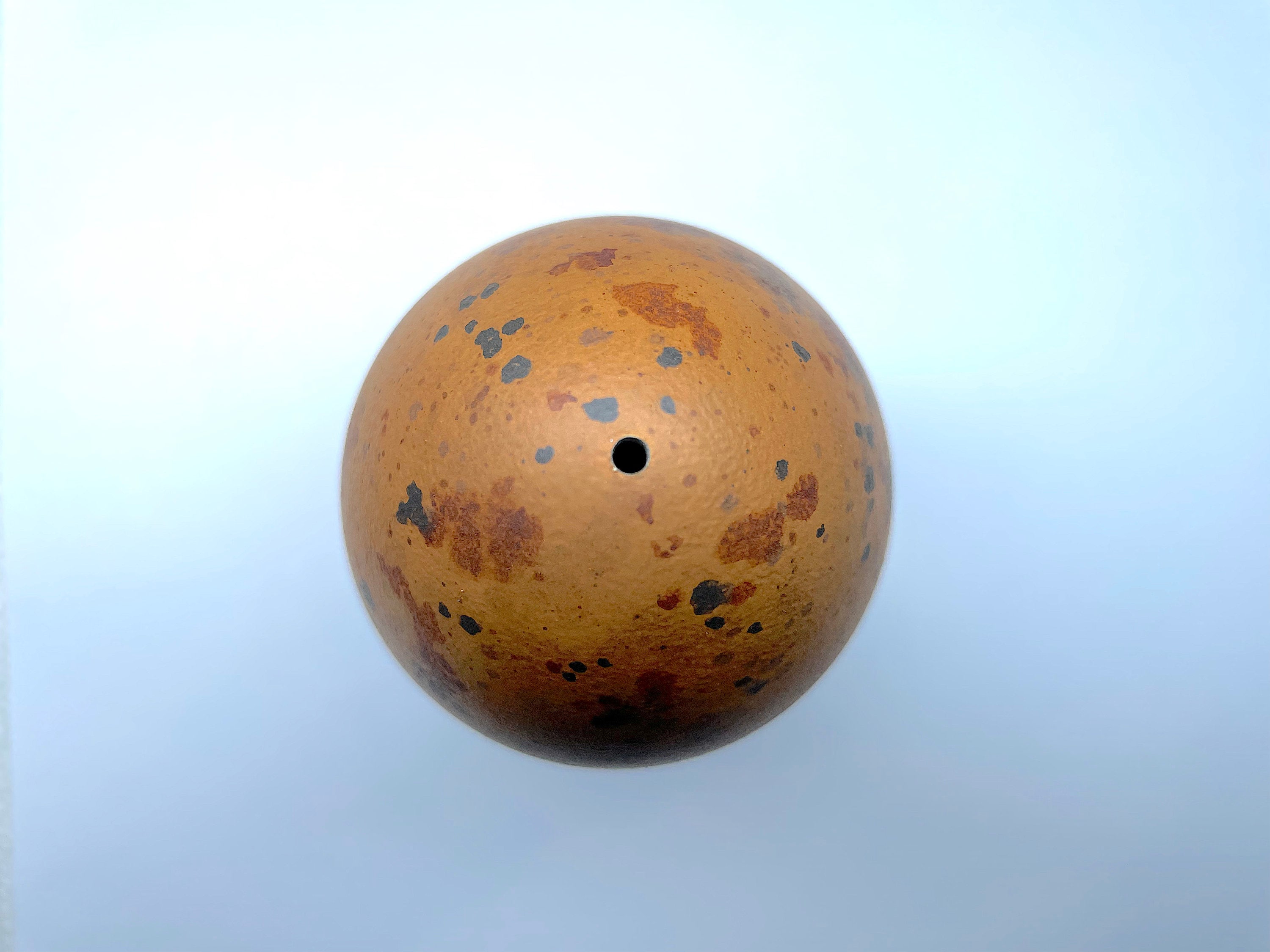 Common Loon Replica Bird Egg - Etsy