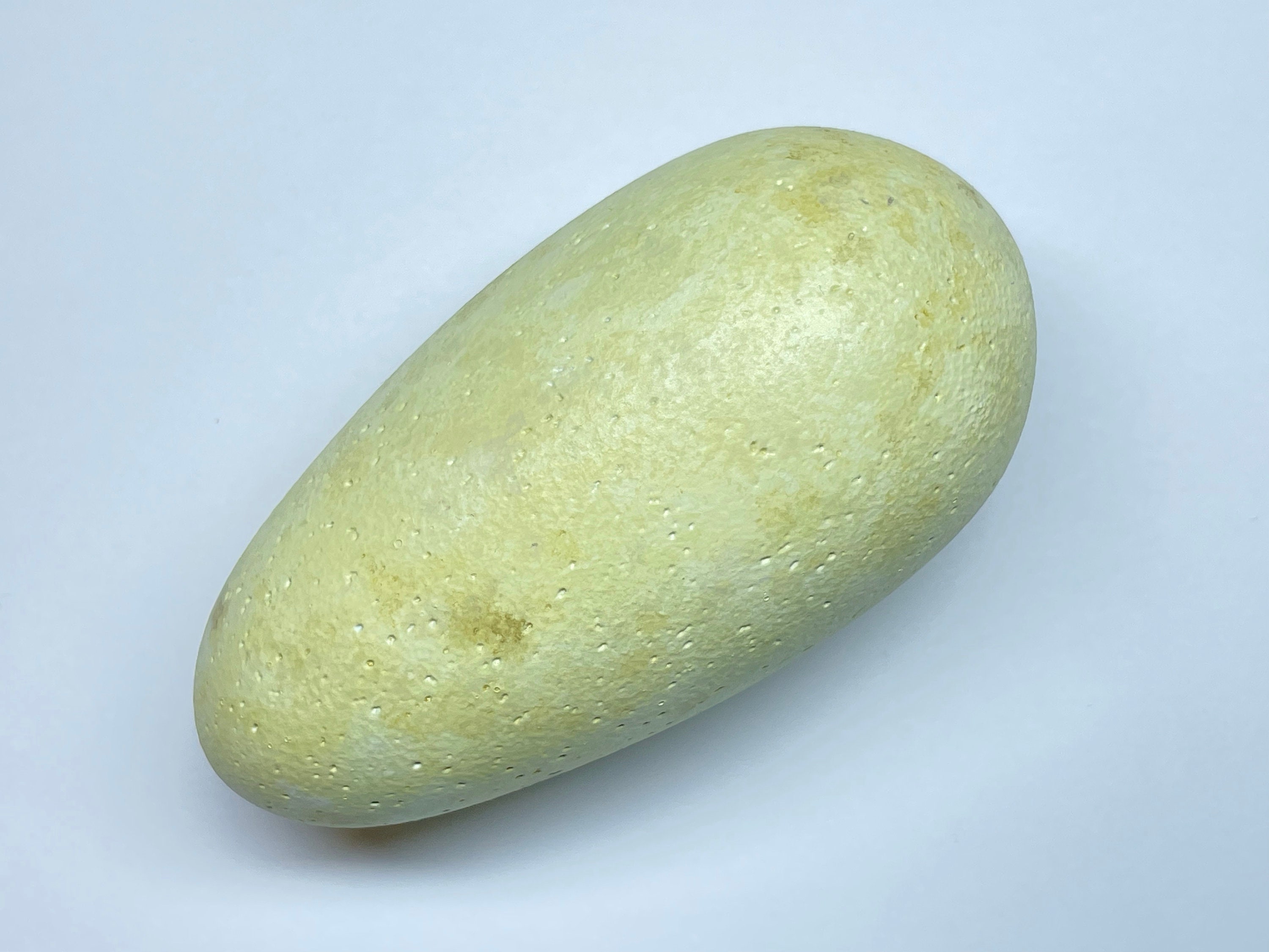 Troodon Formosus Replica Dinosaur Egg - Etsy