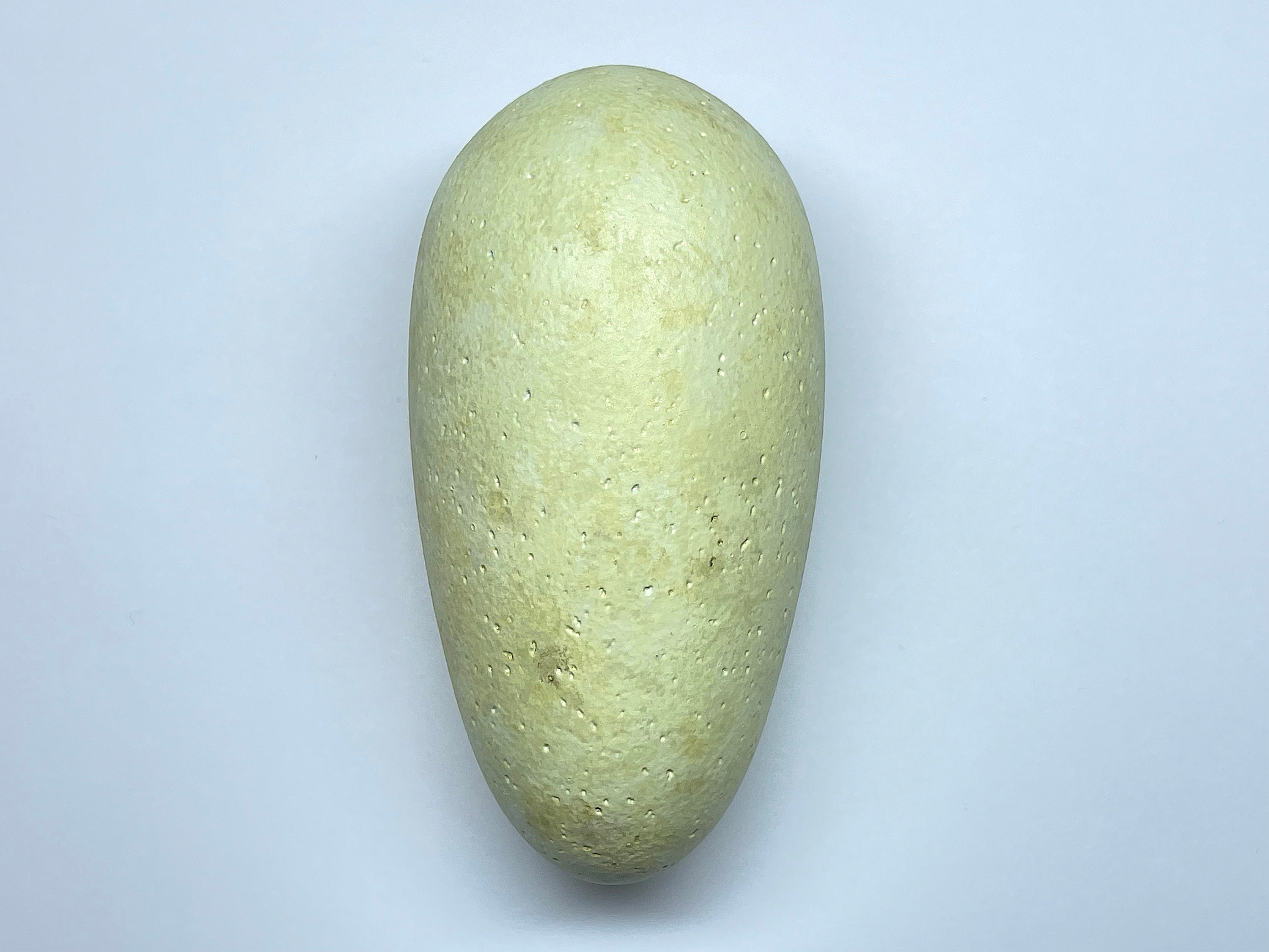 Troodon Formosus Replica Dinosaur Egg - Etsy