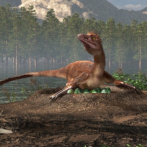 Troodon Formosus Replica Dinosaur Egg - Etsy