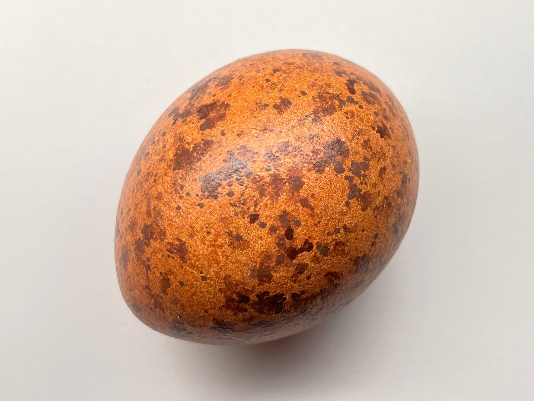 Crested Caracara Replica Bird Egg - Etsy