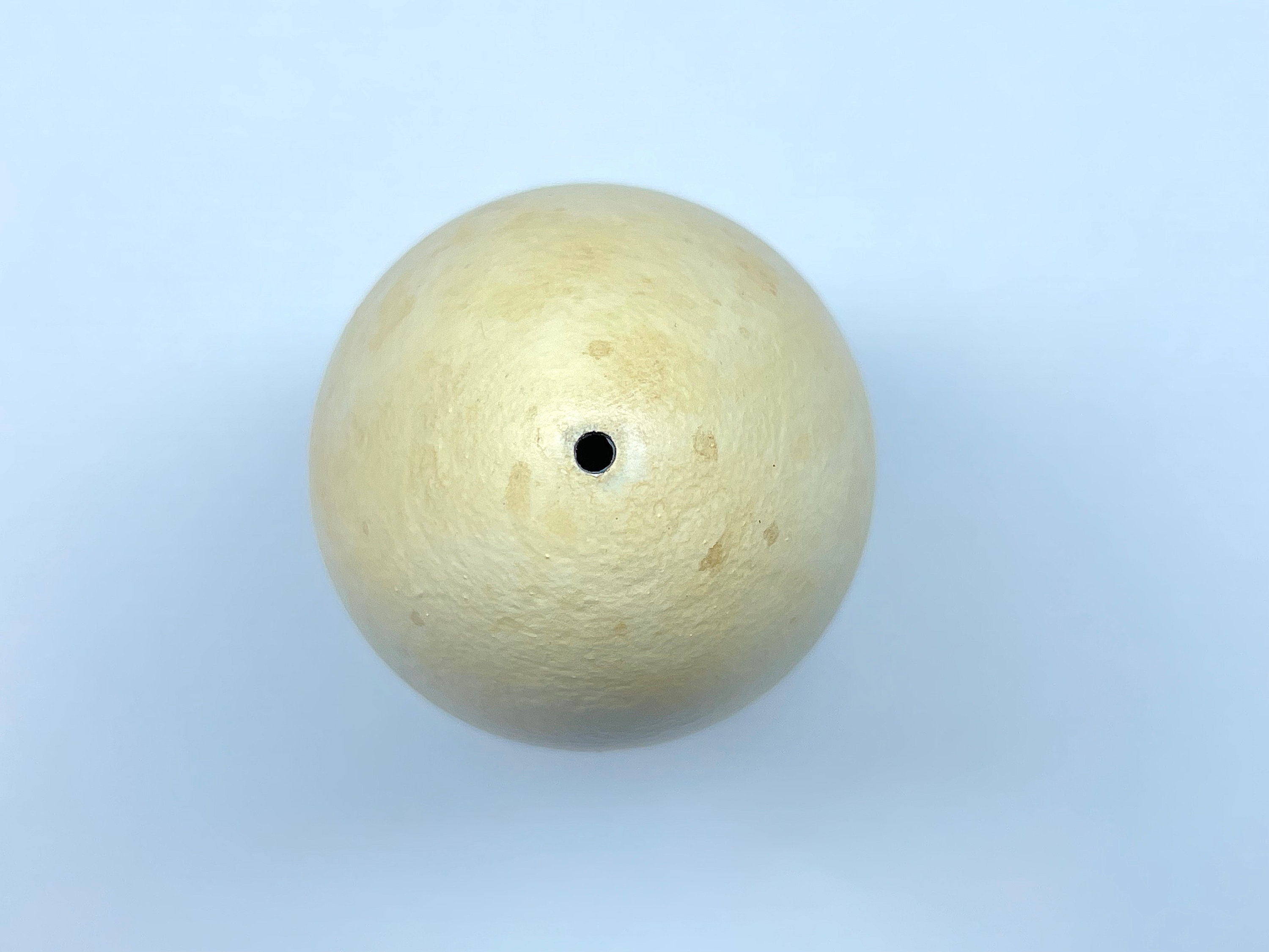 Dovekie Replica Bird Egg - Etsy