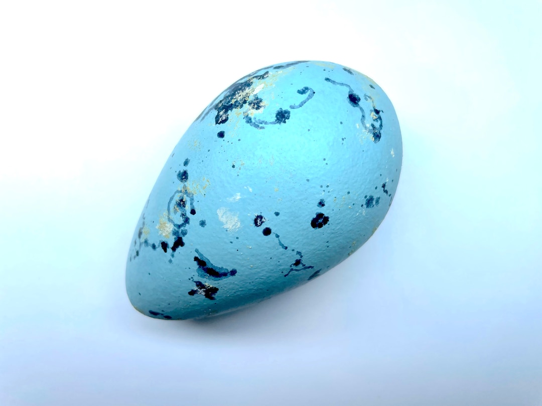 Common Murre #3 (guillemot) Replica Bird Egg - Etsy