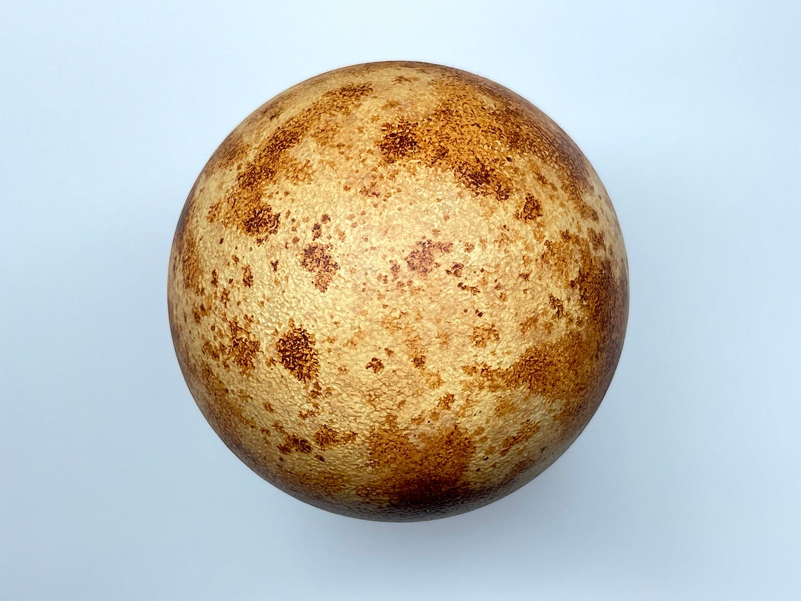 Lammergeier (bearded Vulture) Replica Bird Egg - Etsy