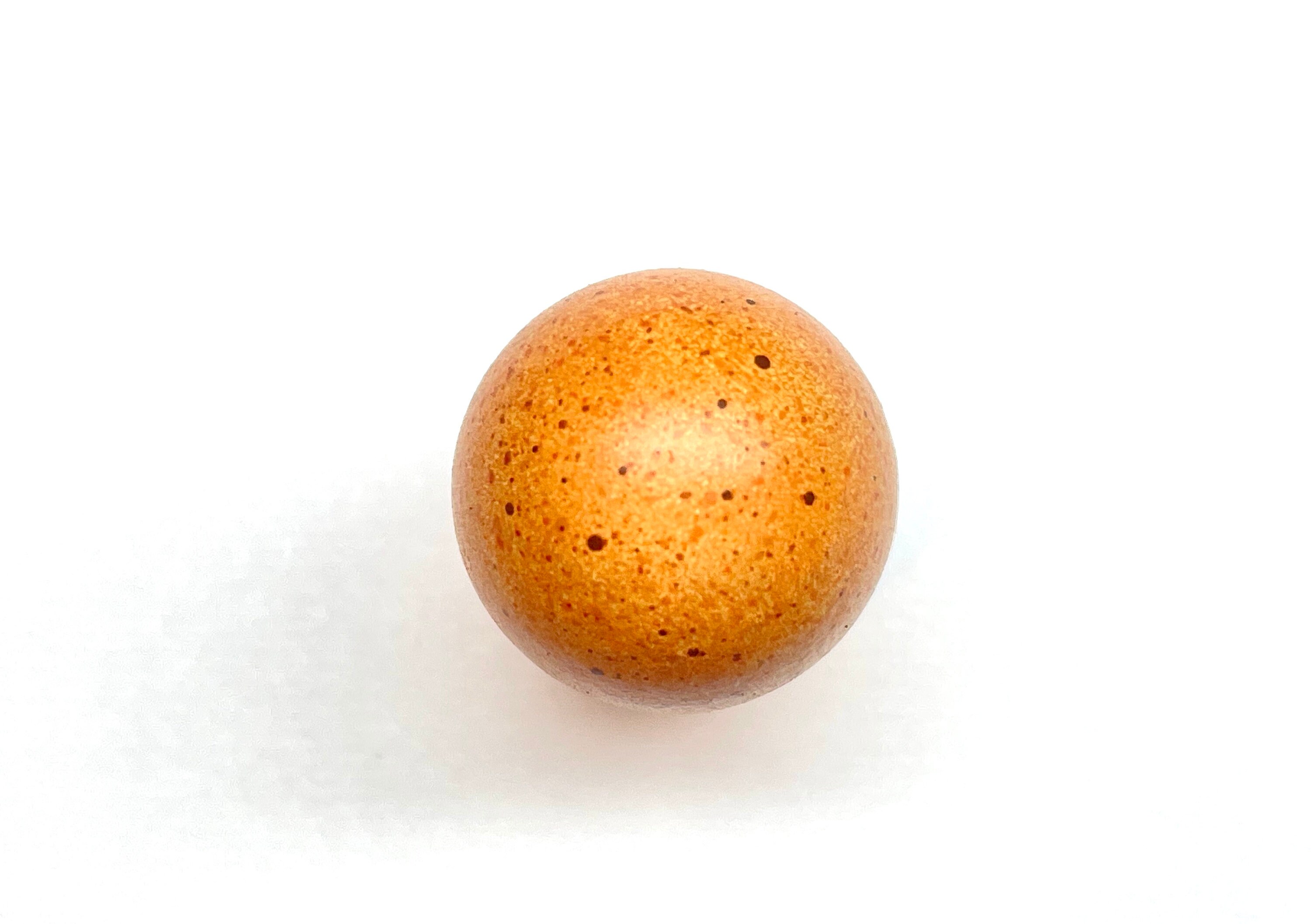 Eurasian Hoopoe Replica Bird Egg - Etsy