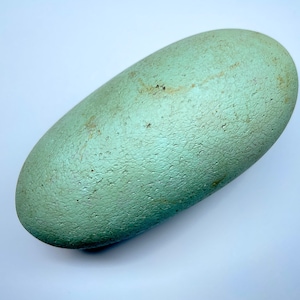 Deinonychus Antirrhopus Replica Dinosaur Egg - Etsy