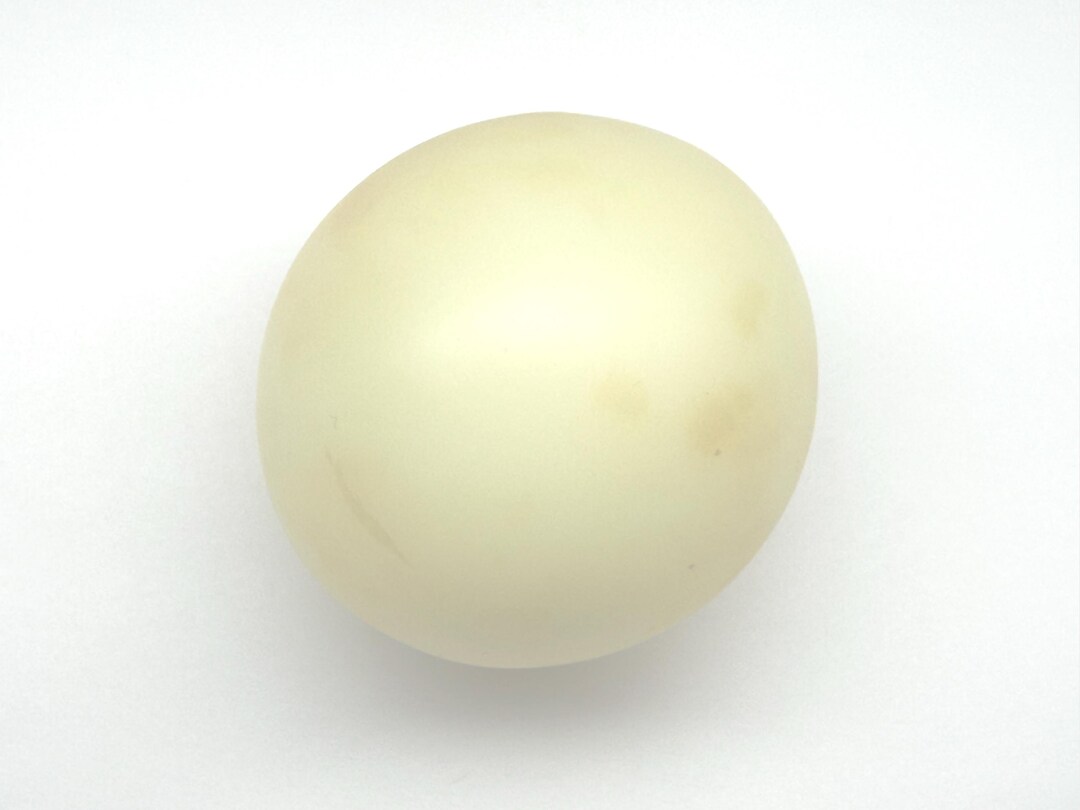 Leatherback Sea Turtle Replica Egg - Etsy
