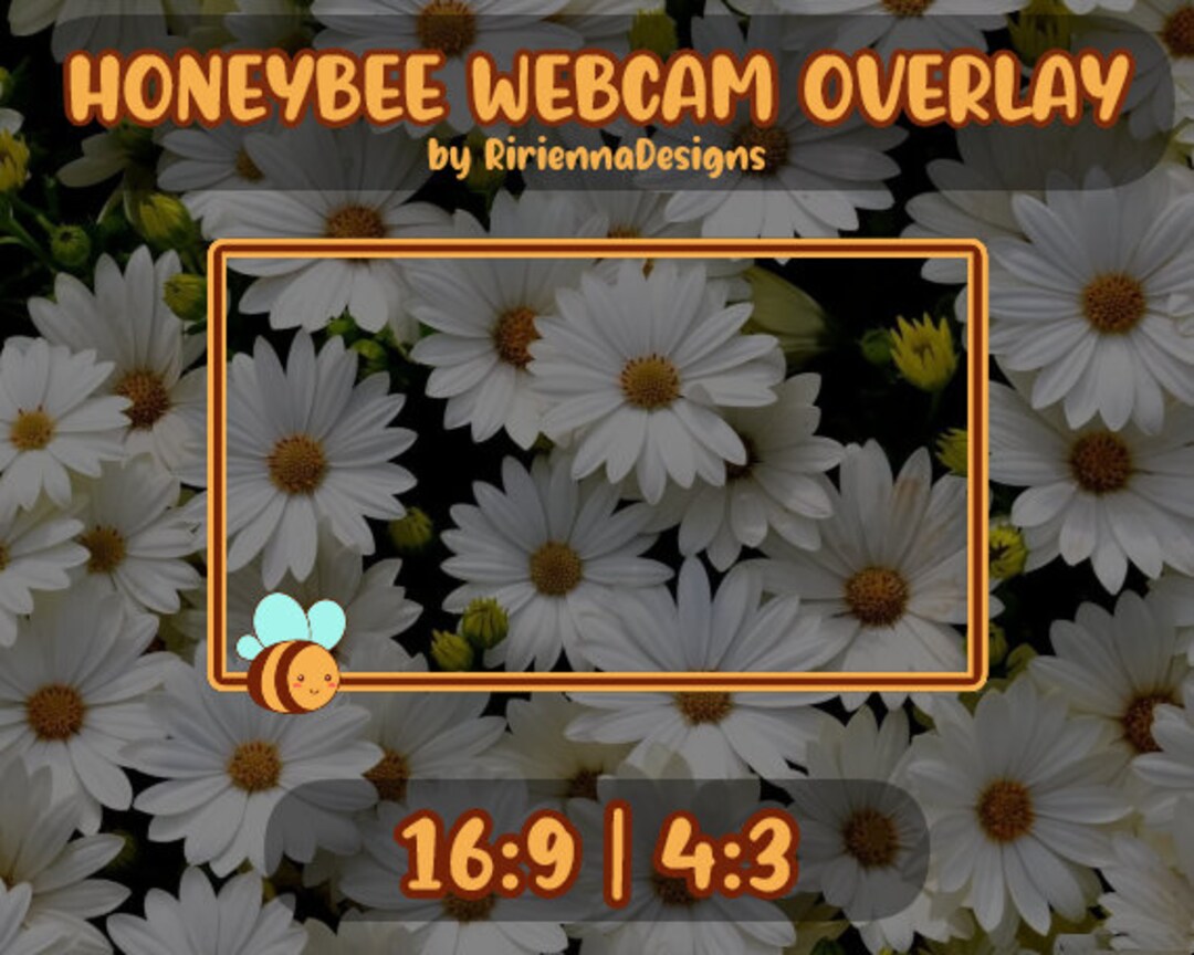 Honey Bee Twitch Streamer Webcam Overlay Frame 1920x1080 1600x1200 - Etsy