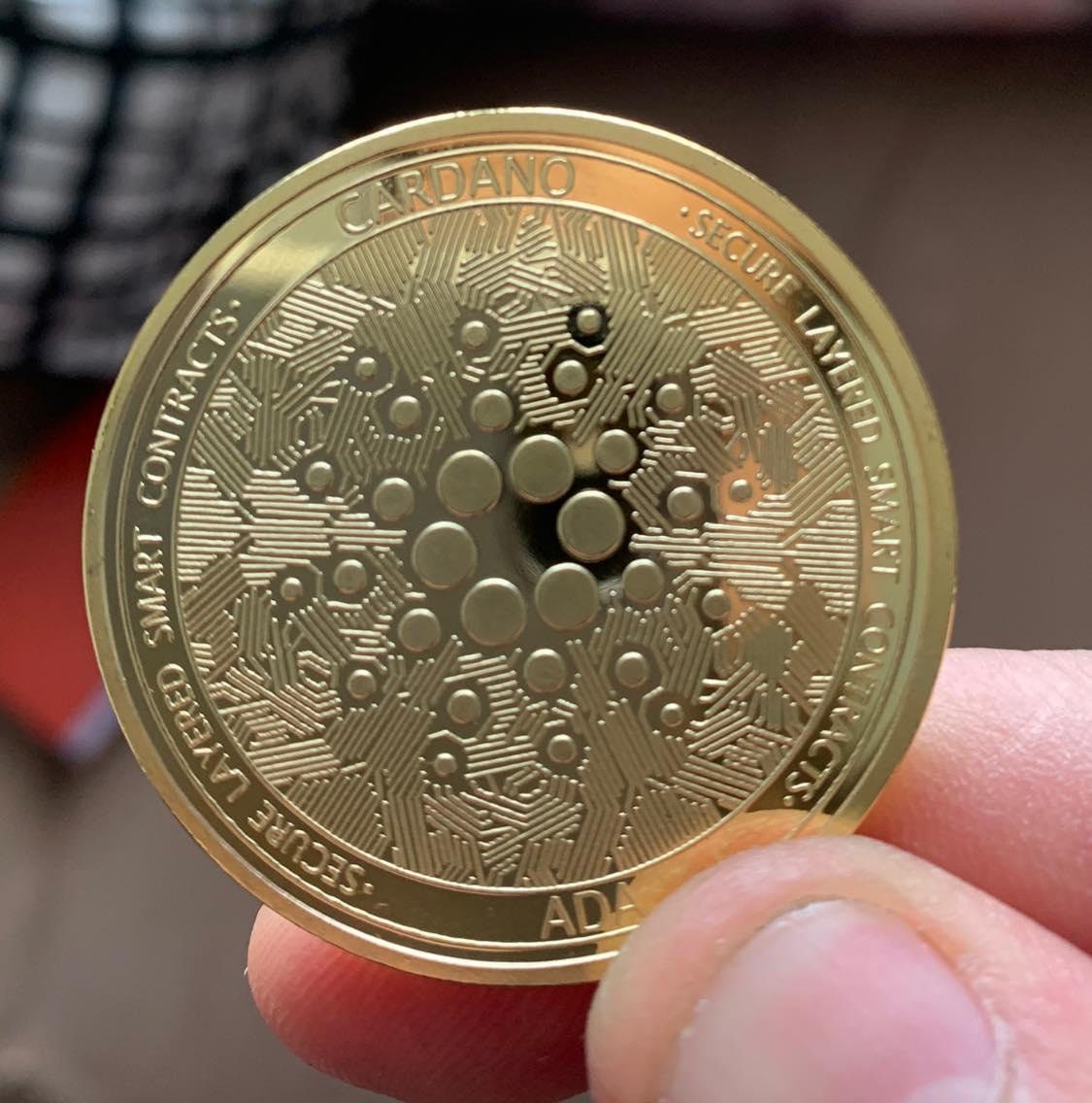 Cardano Coin gold Color by Chattanooga Crypto Hodling Co - Etsy