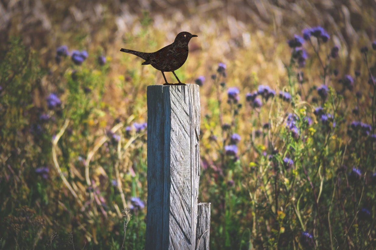 Black Bird Fence Post Topper — MetalGardenArt.co.uk