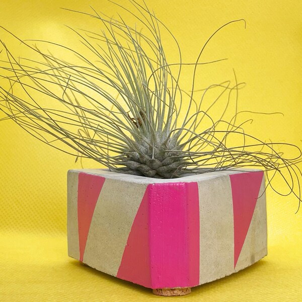 Triangular Planter - Etsy