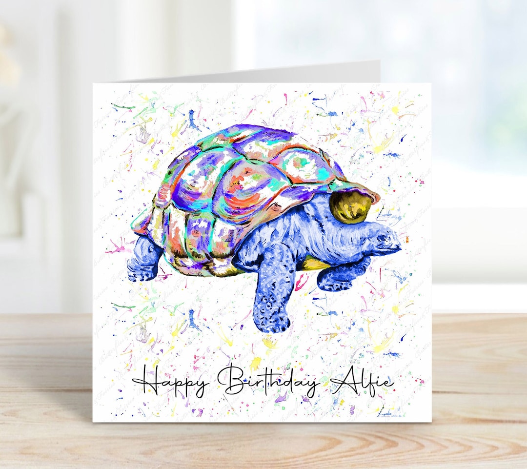 Personalised Tortoise Birthday Card, Tortoise Card for Her, Rainbow ...
