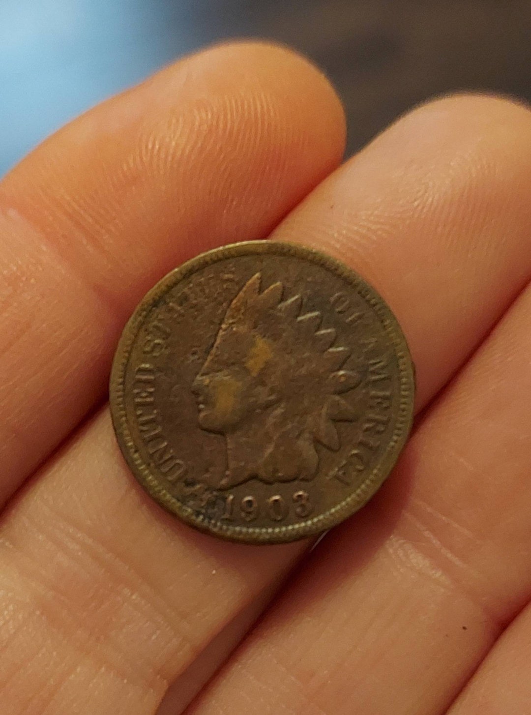 1903 Indian Head Wheat Penny - Etsy