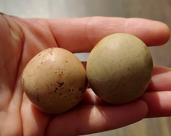 Native American Marbles - Etsy