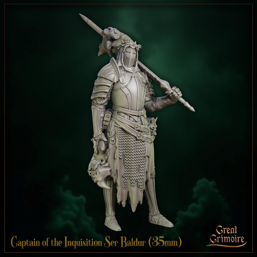 Human Paladin - Captain Ser Baldur Miniature for Dnd, DSA, Pathfinder ...