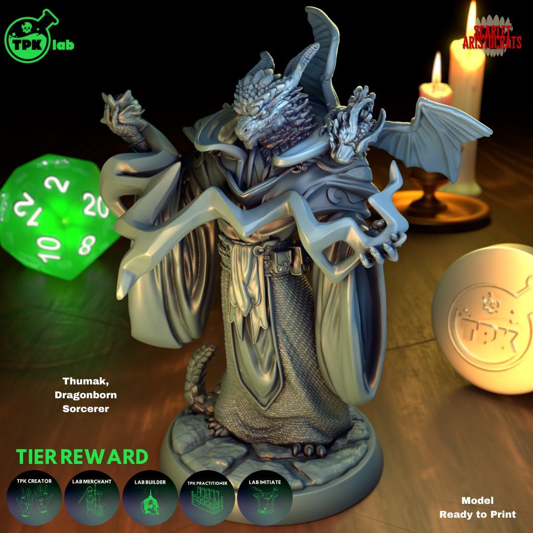 Thumak Dragonborn Sorcerer - Lizard Miniature for Dnd, DSA, Pathfinder ...