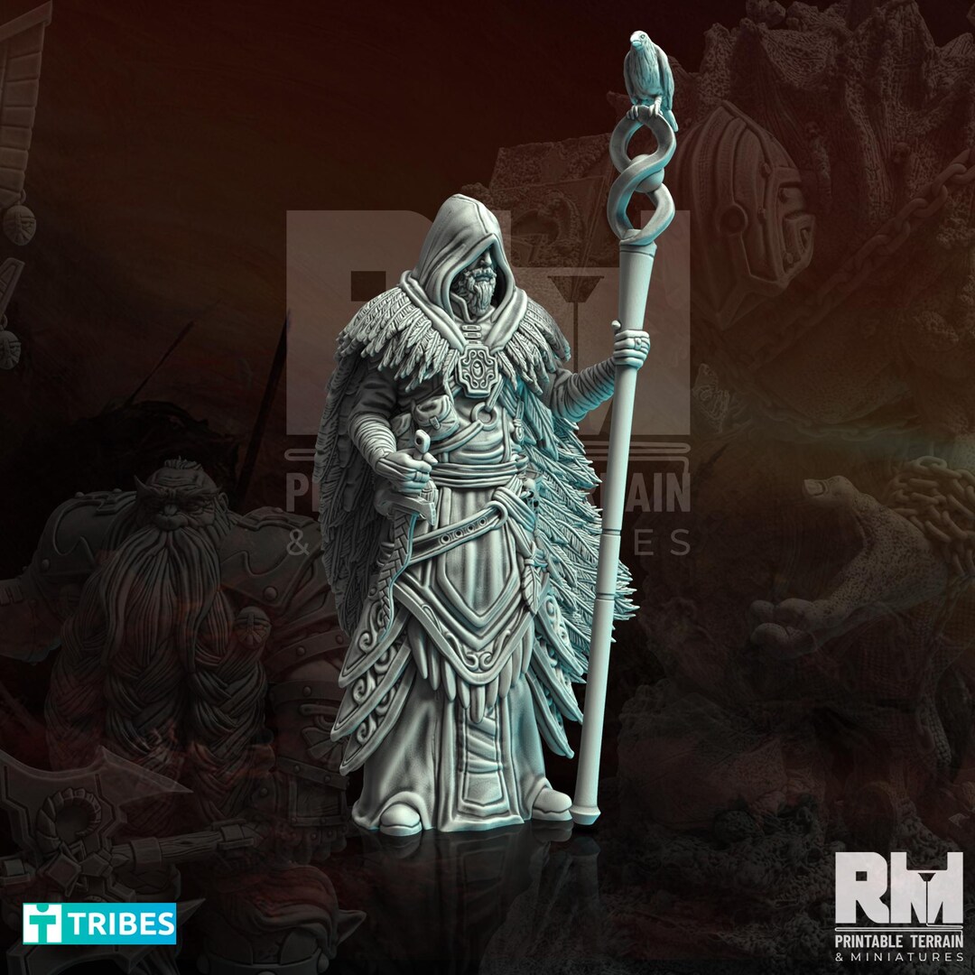 Raven Mage Miniature for Dnd, DSA, Pathfinder 28 Mm, 32 Mm Resin ...