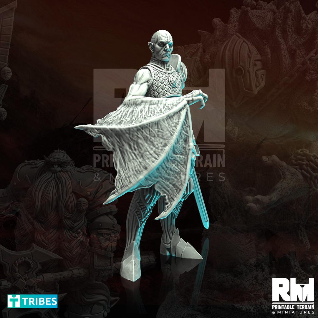 Vampire Knight Miniature for Dnd, DSA, Pathfinder 28 Mm, 32 Mm Resin ...