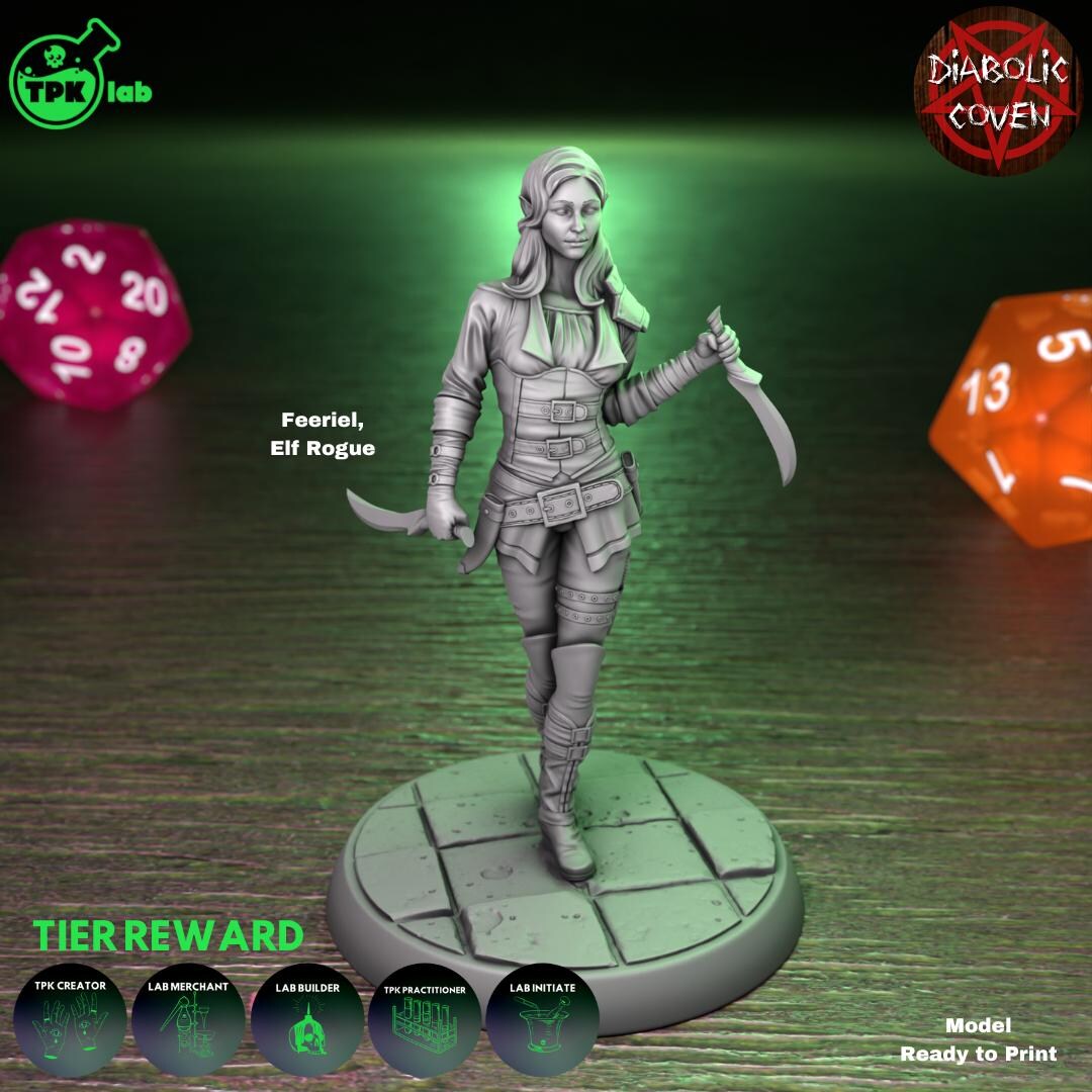 Feeriel Elf Rogue - Elf Miniature for Dnd, DSA, Pathfinder, RPG ...
