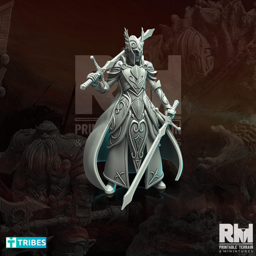 Frost Elf Blade Warden Miniature for Dnd, DSA, Pathfinder 28 Mm, 32 Mm ...