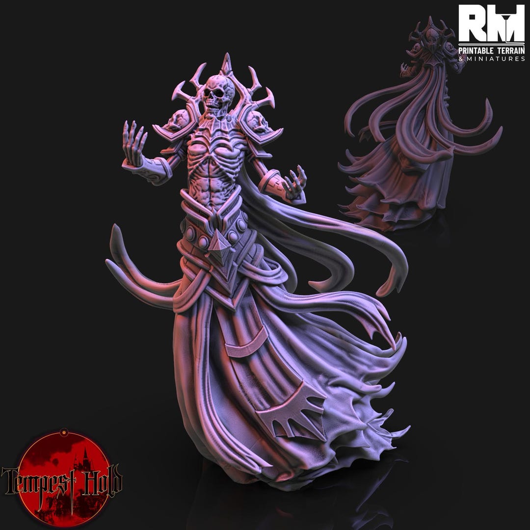 Skeleton Mage Miniature for Dnd, DSA, Pathfinder 28 Mm, 32 Mm Resin ...