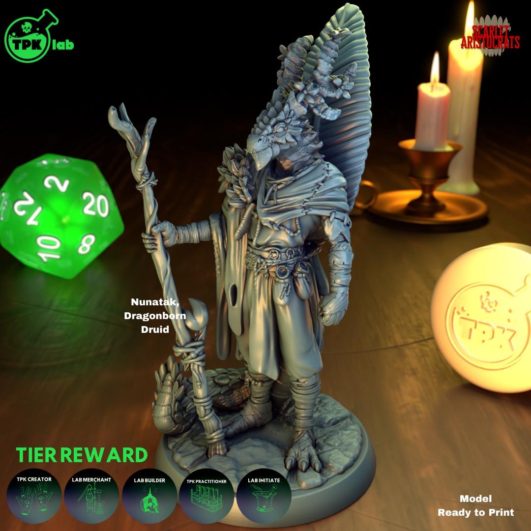 Nunatak - Lizard Miniature for Dnd, DSA, Pathfinder, RPG Tabletop ...
