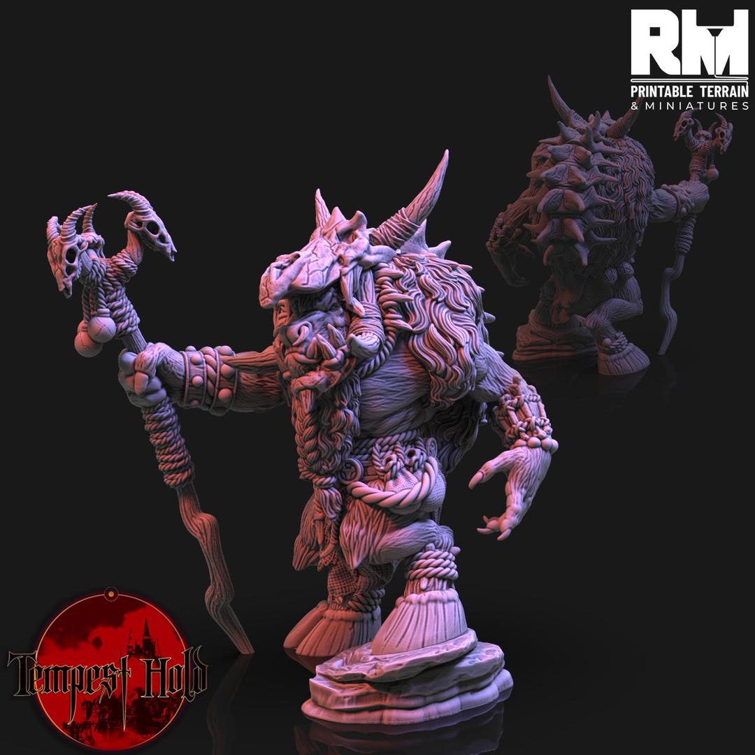 Minotaur Druid Miniature for Dnd, DSA, Pathfinder 28 Mm, 32 Mm Resin ...