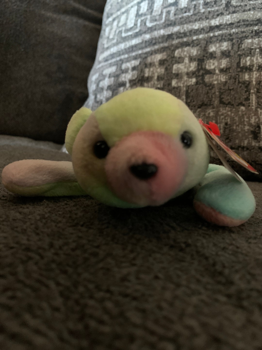 Sammy the Bear - Etsy