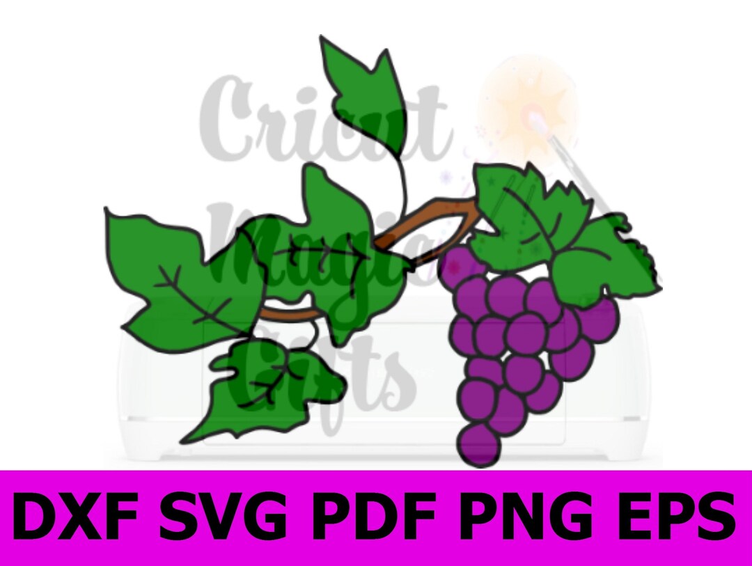 Fruit SVG Grapes SVG Kitchen Decor Grape Cuttable Design PNG - Etsy