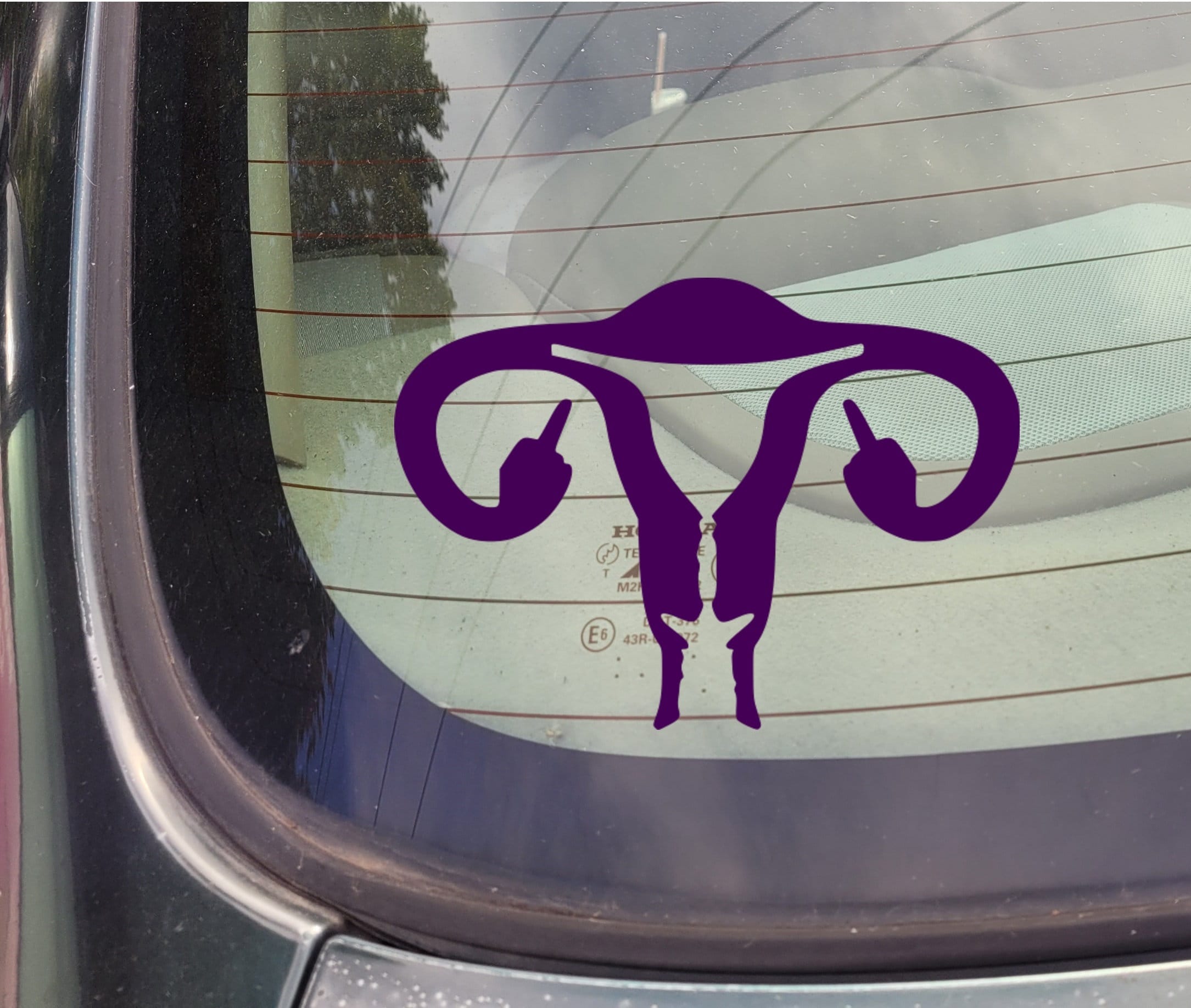 Uterus Middle Finger Angry Uterus Flipping the Bird Feminist Pro Choice ...