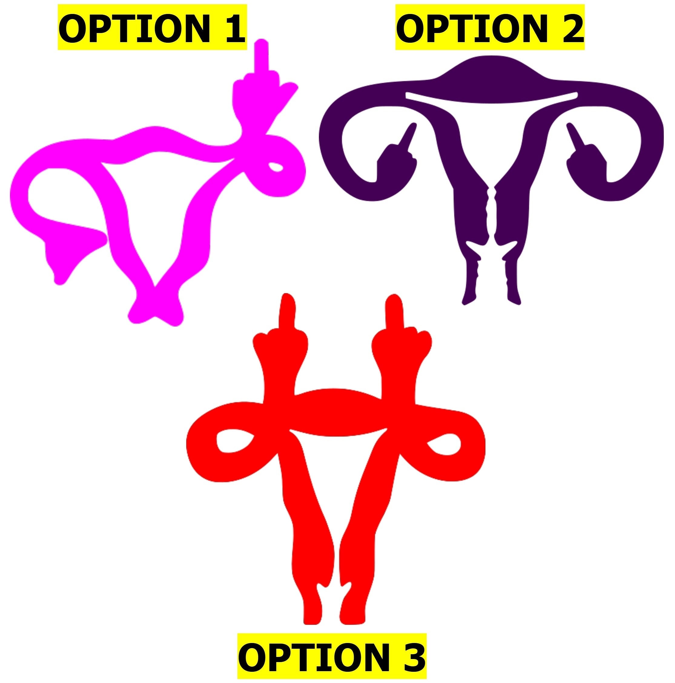 Uterus Middle Finger Angry Uterus Flipping the Bird Feminist Pro Choice ...
