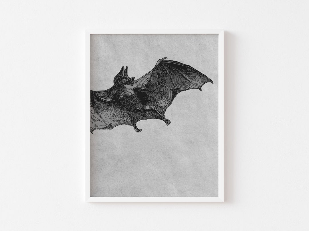Bat Print, Spooky Decor, Creepy Print, Haunted Print, Halloween, Gifts ...