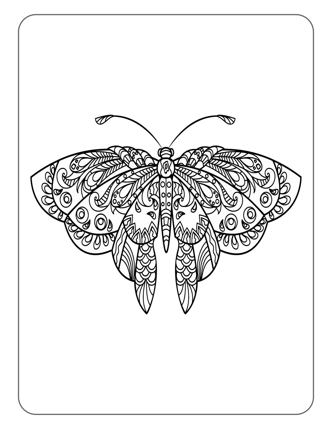 20 Unique Butterfly Printable Coloring Pages for Adults or Kids. - Etsy