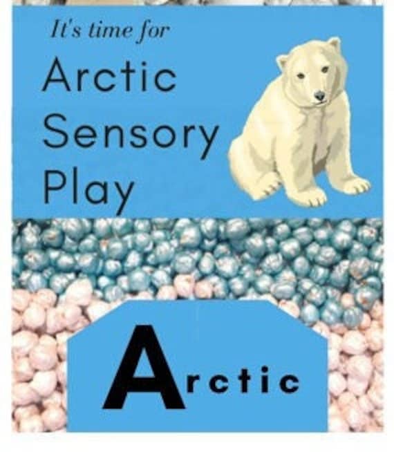 Arctic Sensory Play Ideas Printable Trifold With Arctic - Etsy