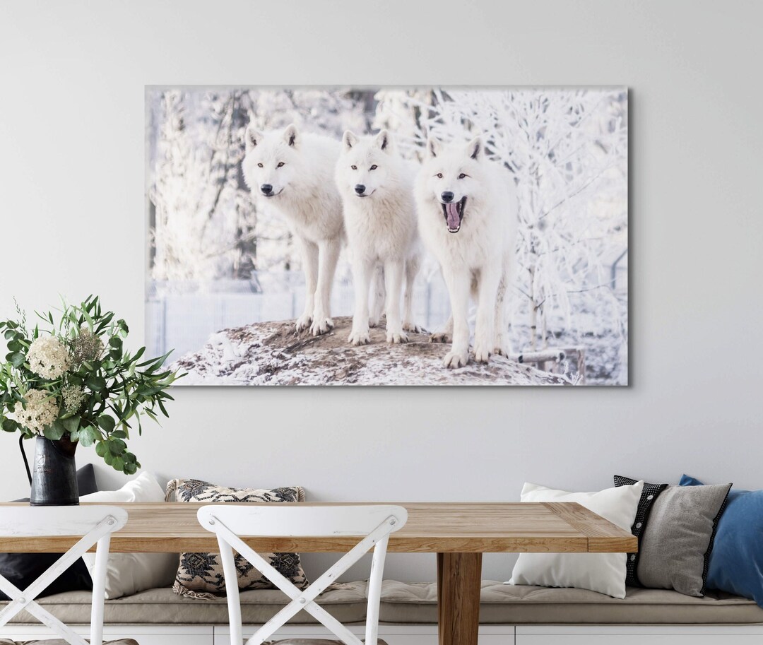 Three White Wolves Photograph Print on Canvas - Ready to Hang Options ...