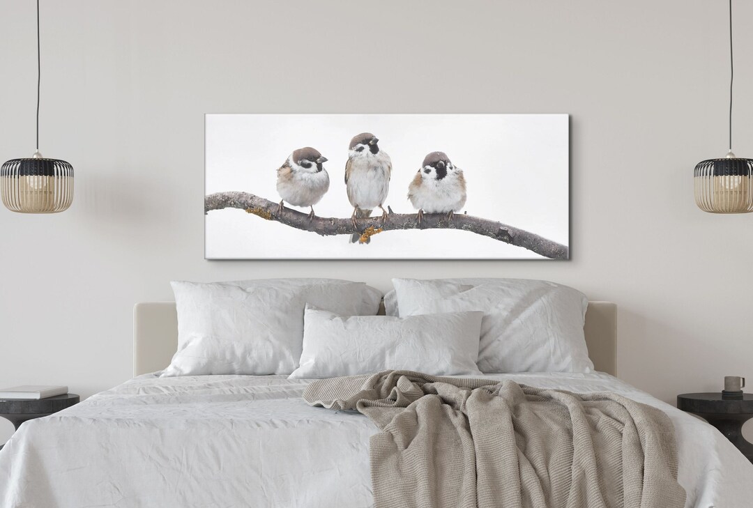Three Sparrows, Artwork on Stretched Canvas - Etsy