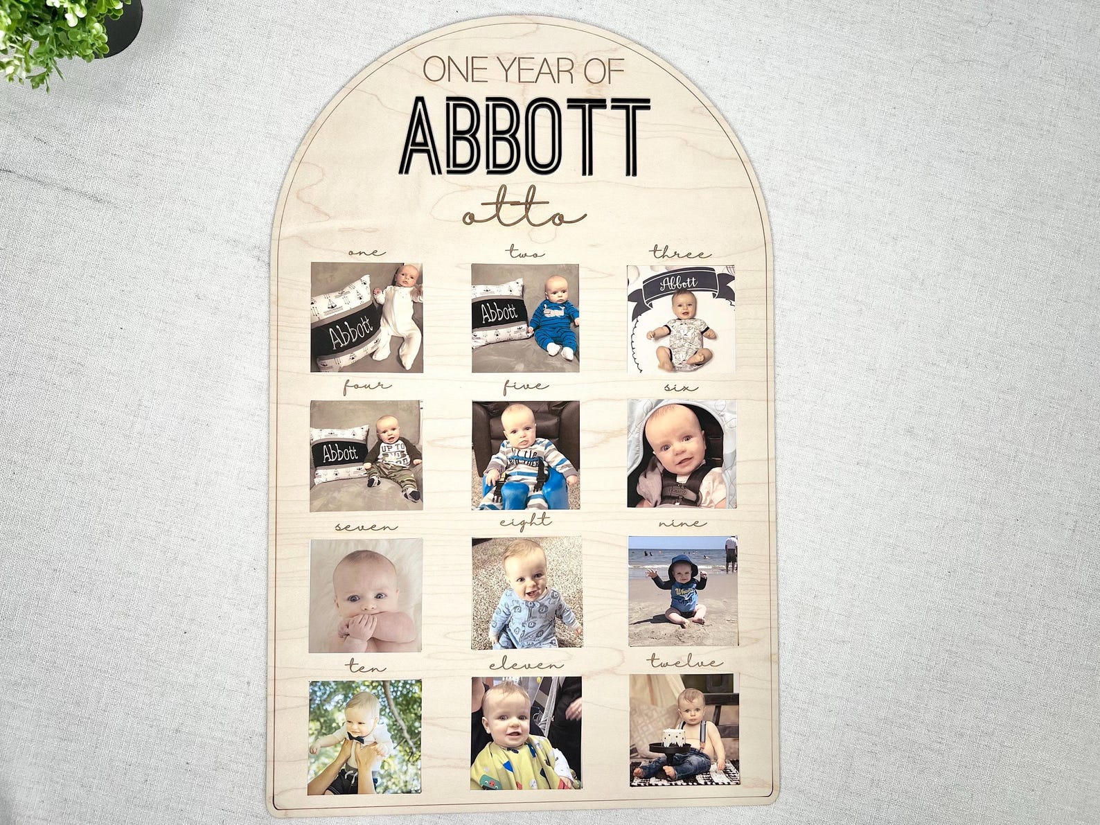 Milestone Picture Board | My First Year | One Year of Photo Sign | One ...