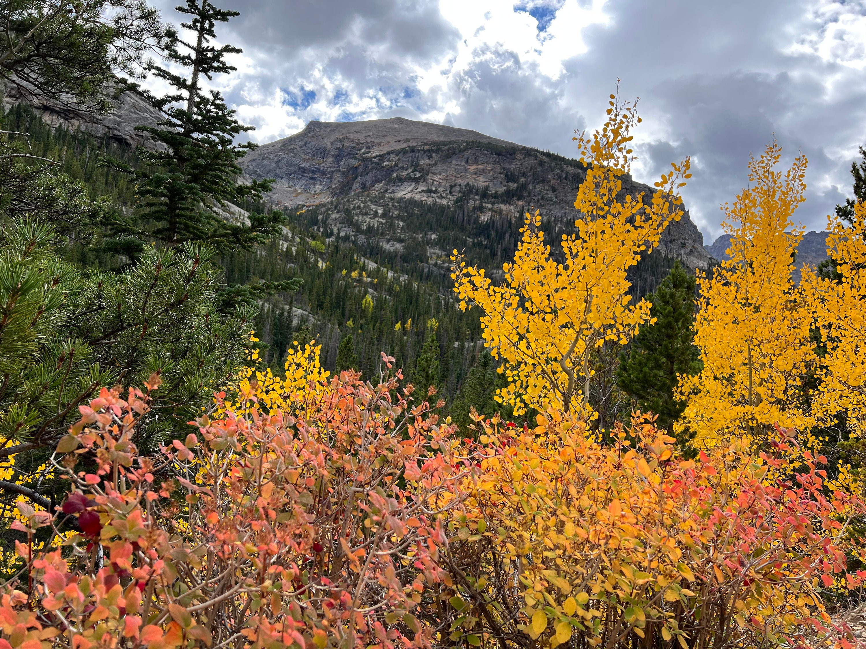 Beautiful Fall Colors in Rocky Mountain National Park, Colorado - Etsy