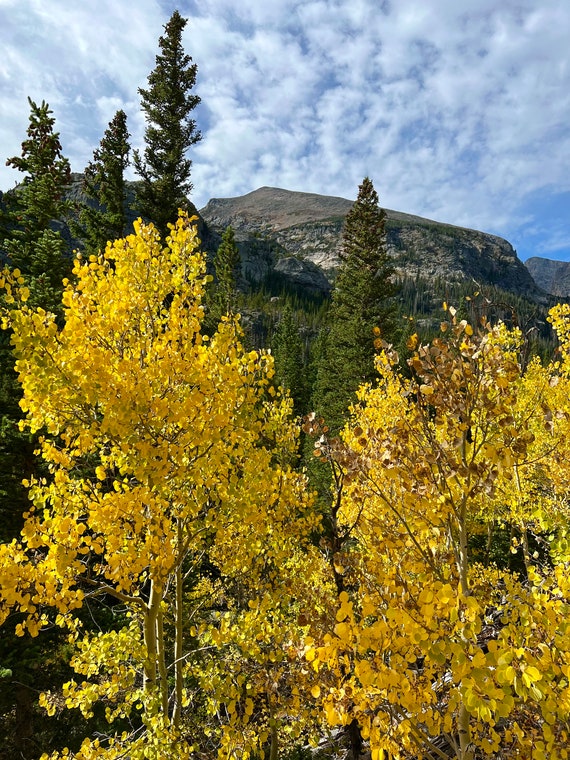Rocky Mountain Fall Foliage RMNP Colorado - Etsy