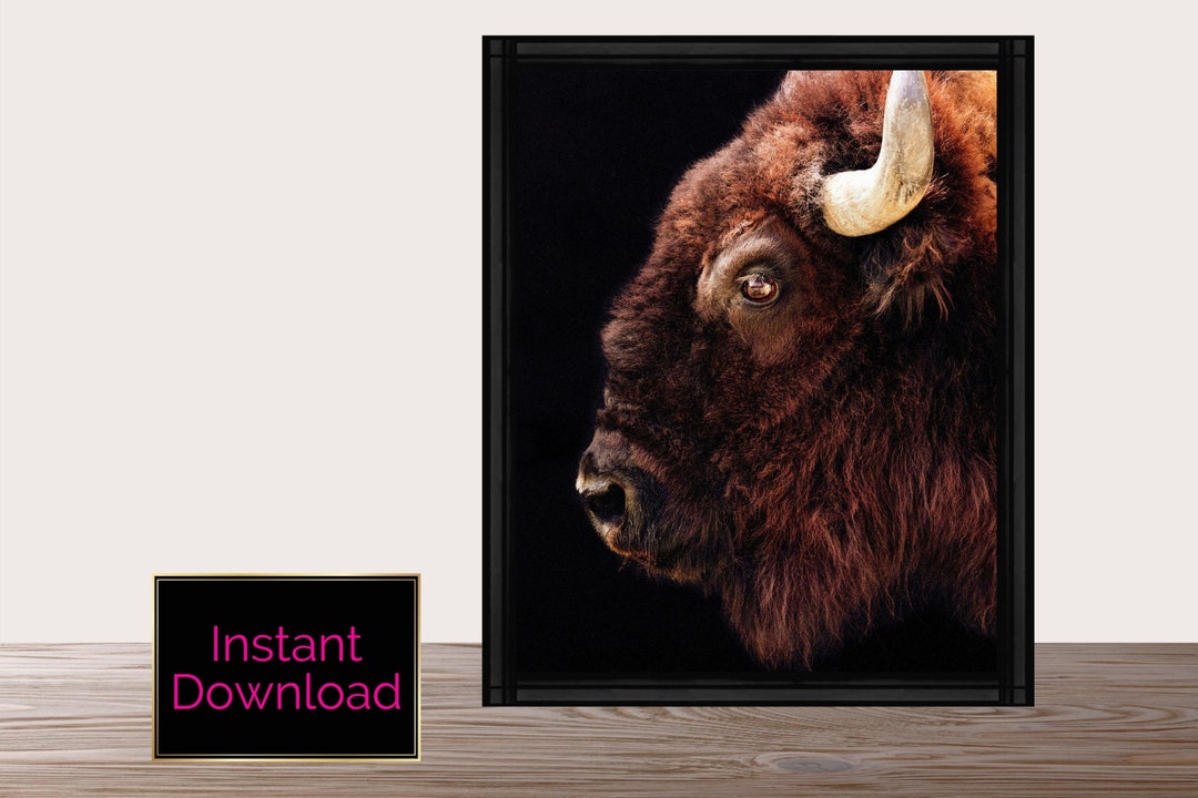 Bison Wall Art | Bison Print | Farmhouse Decor | Bison Art | Bison ...