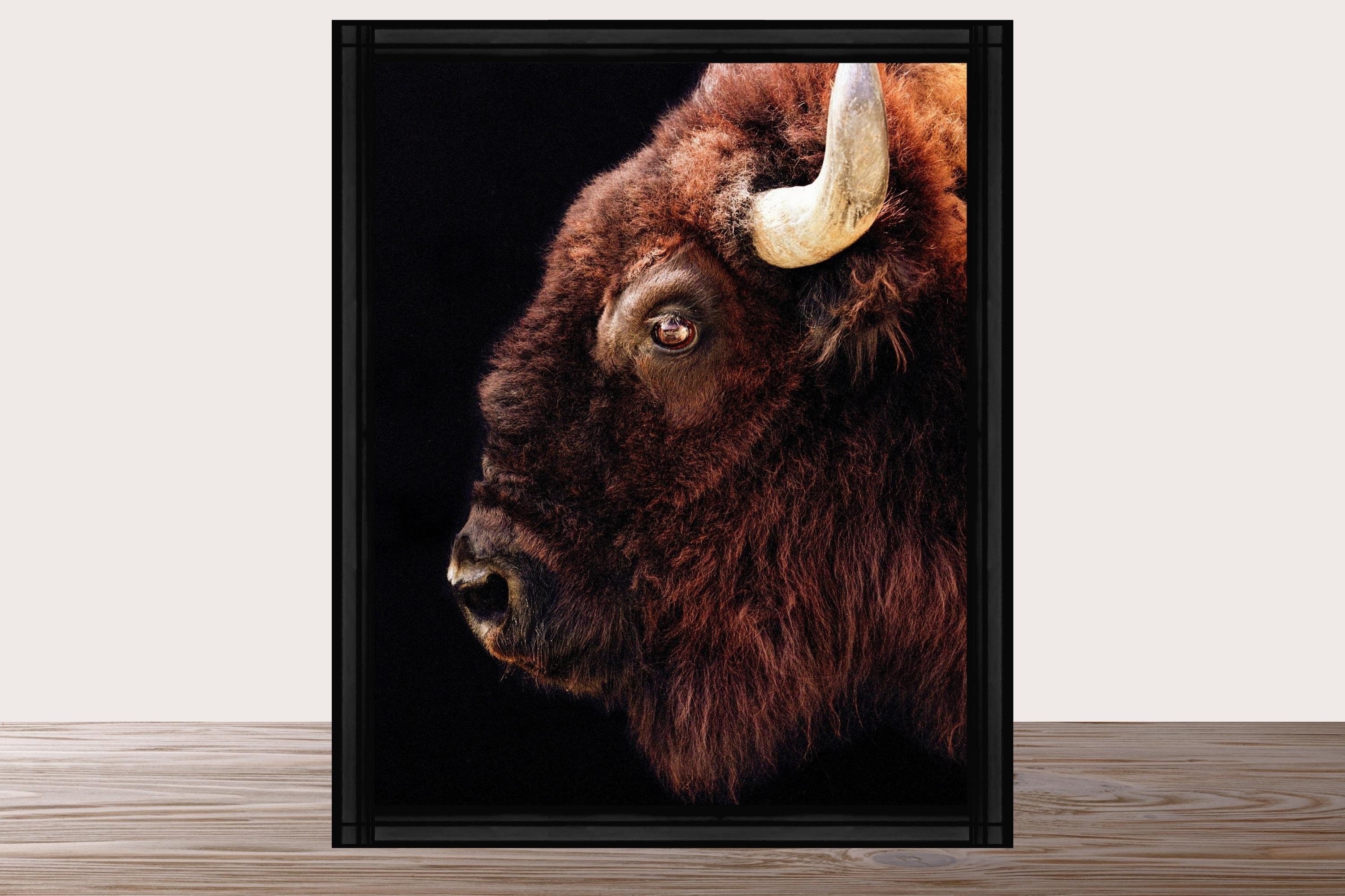 Bison Wall Art Bison Print Farmhouse Decor Bison Art - Etsy