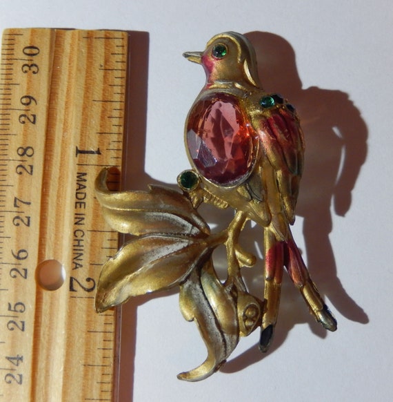 Very Rare! Antique Victorian Celluloid Bird Brooch Pin - Gem