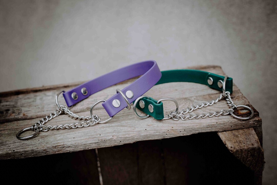 Pull Stop Biothane Collar With Pull Stop Chain - Etsy