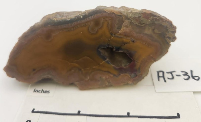 Tennessee Paint Rock Agate, From the Collection of big Al Johnson - Etsy